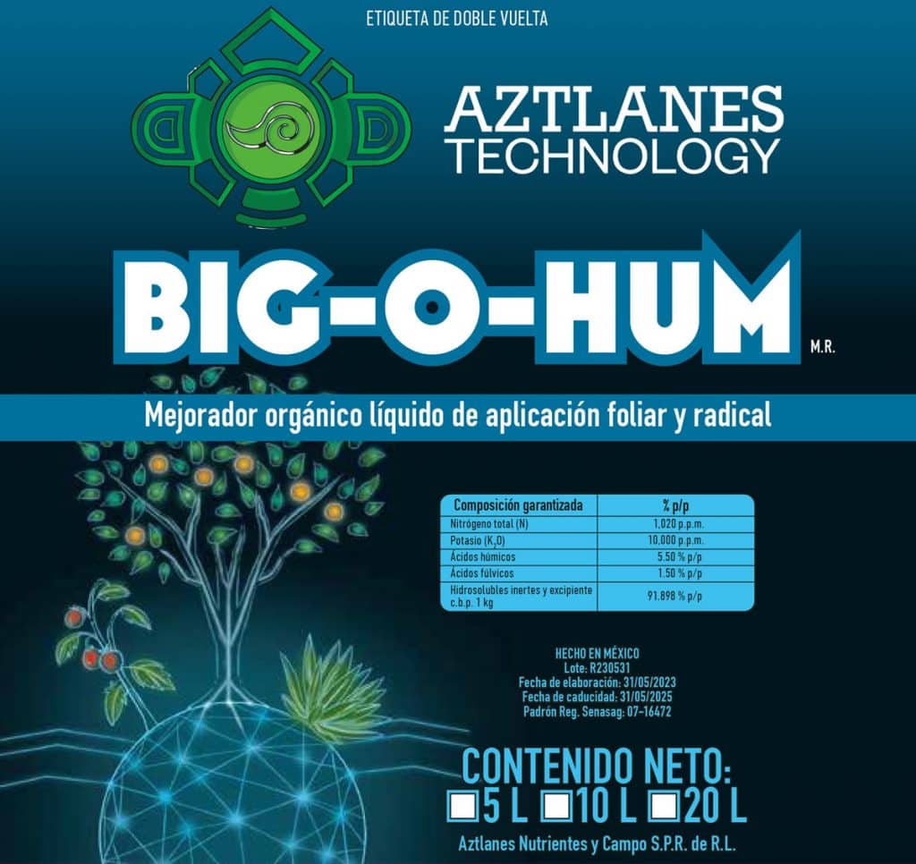 BIG-O-HUM – Aztlanes Technology México